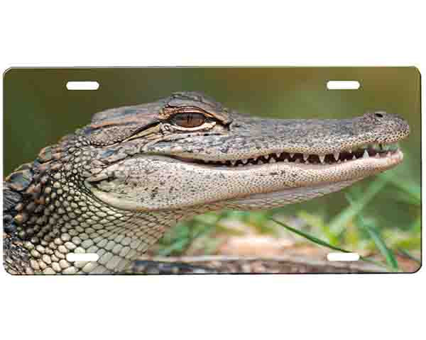 Alligator License Plate – Onestopairbrushshop
