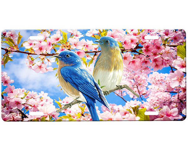 Bluebird License Plate – Onestopairbrushshop