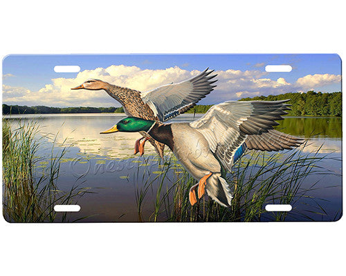 Ducks License Plate – Onestopairbrushshop