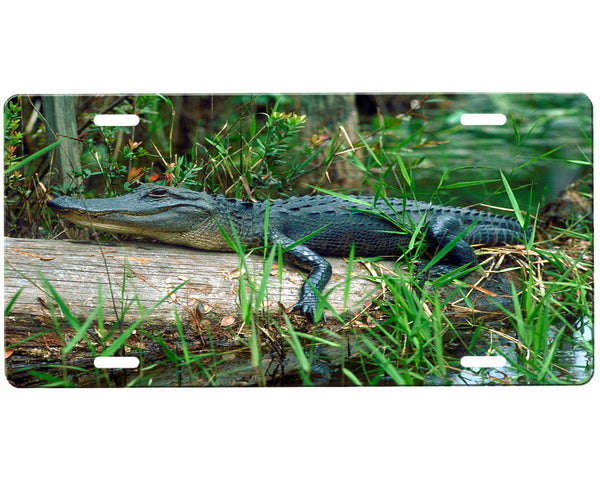 Alligator License Plate – Onestopairbrushshop