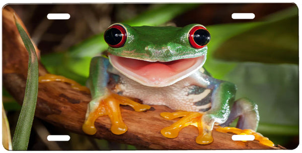 Frog License Plate – Onestopairbrushshop