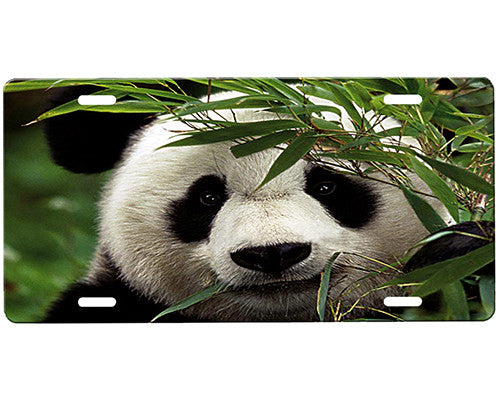 Panda Bear License Plate – Onestopairbrushshop