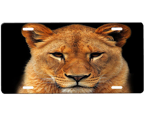 Lioness License Plate – Onestopairbrushshop