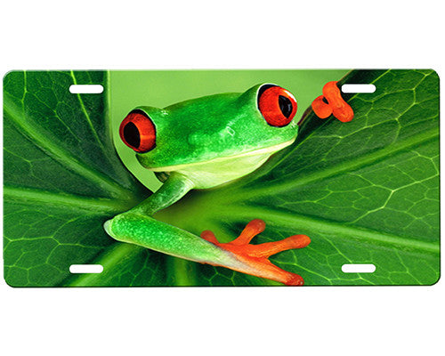 Frog License Plate – Onestopairbrushshop